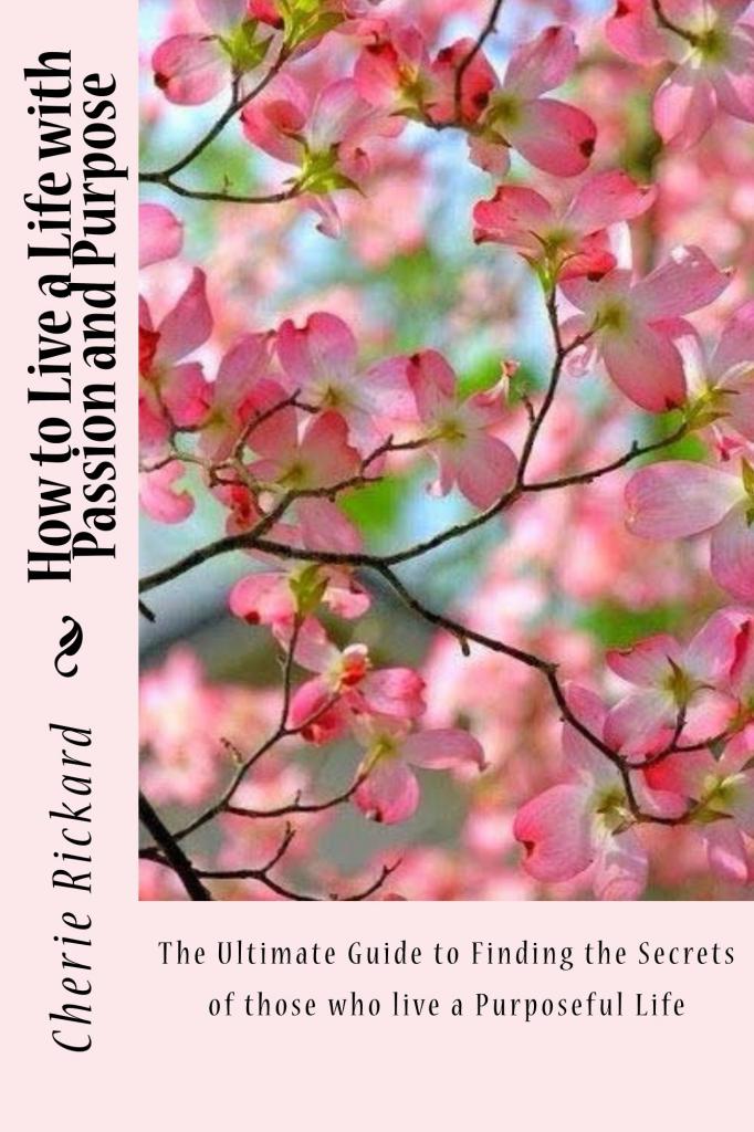 How to Live a Life with Passion and Purpose | The Grief Toolbox