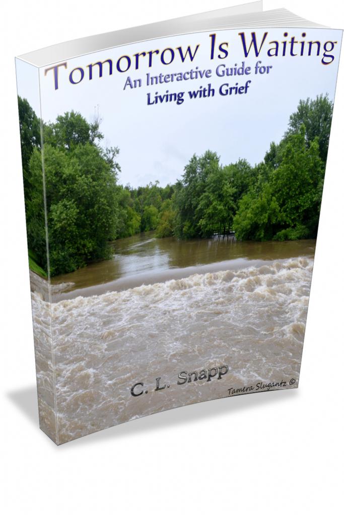 Tomorrow Is Waiting-An Interactive Guide for Living with Grief - ebook ...